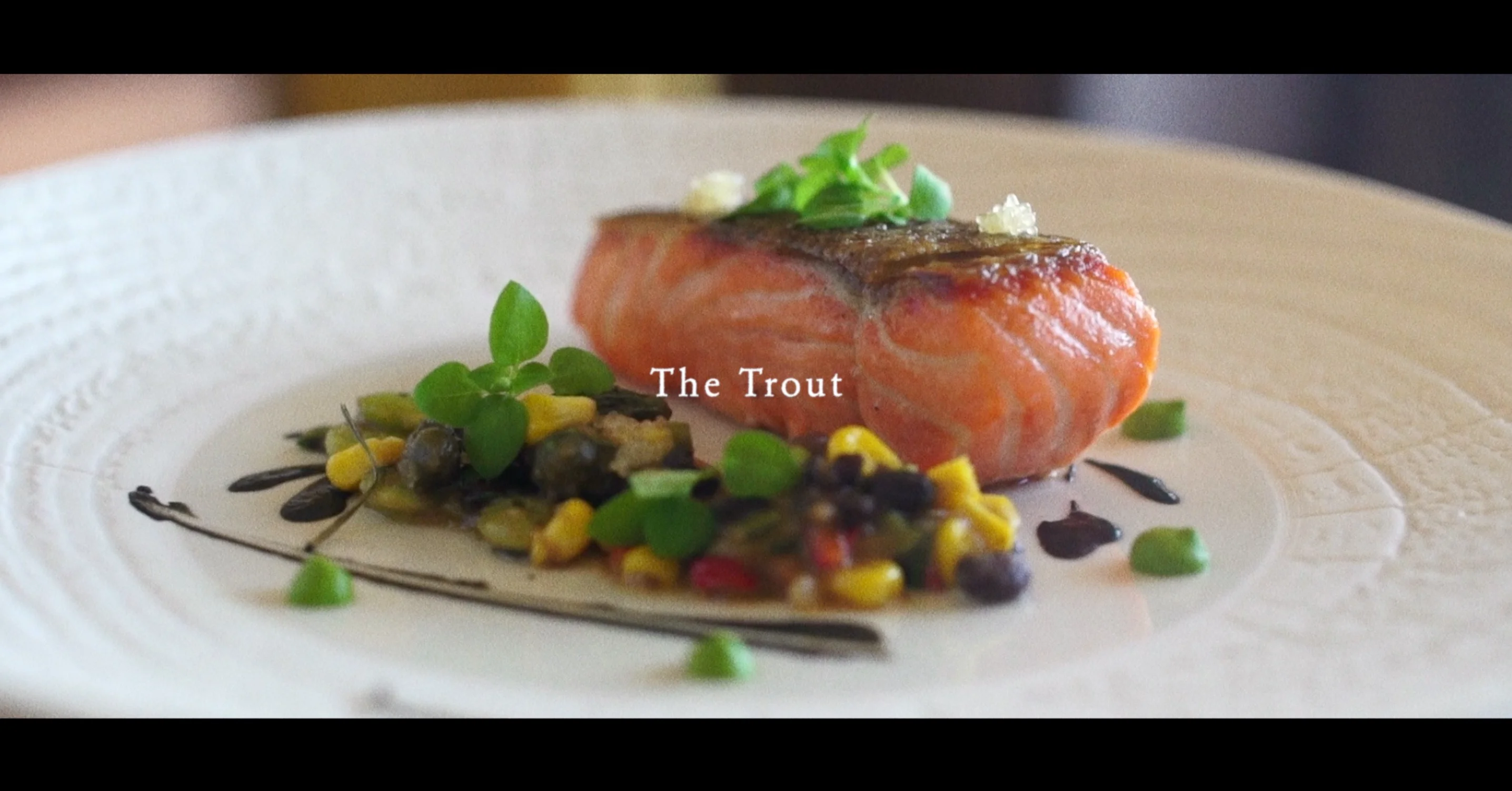 THE TROUT on Vimeo