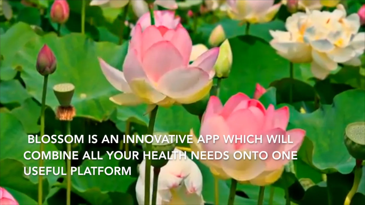 Blossom App
