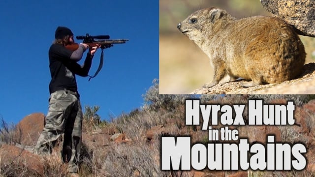 Hyrax Hunt in the Mountains - The Experience is Worth the Climb ...
