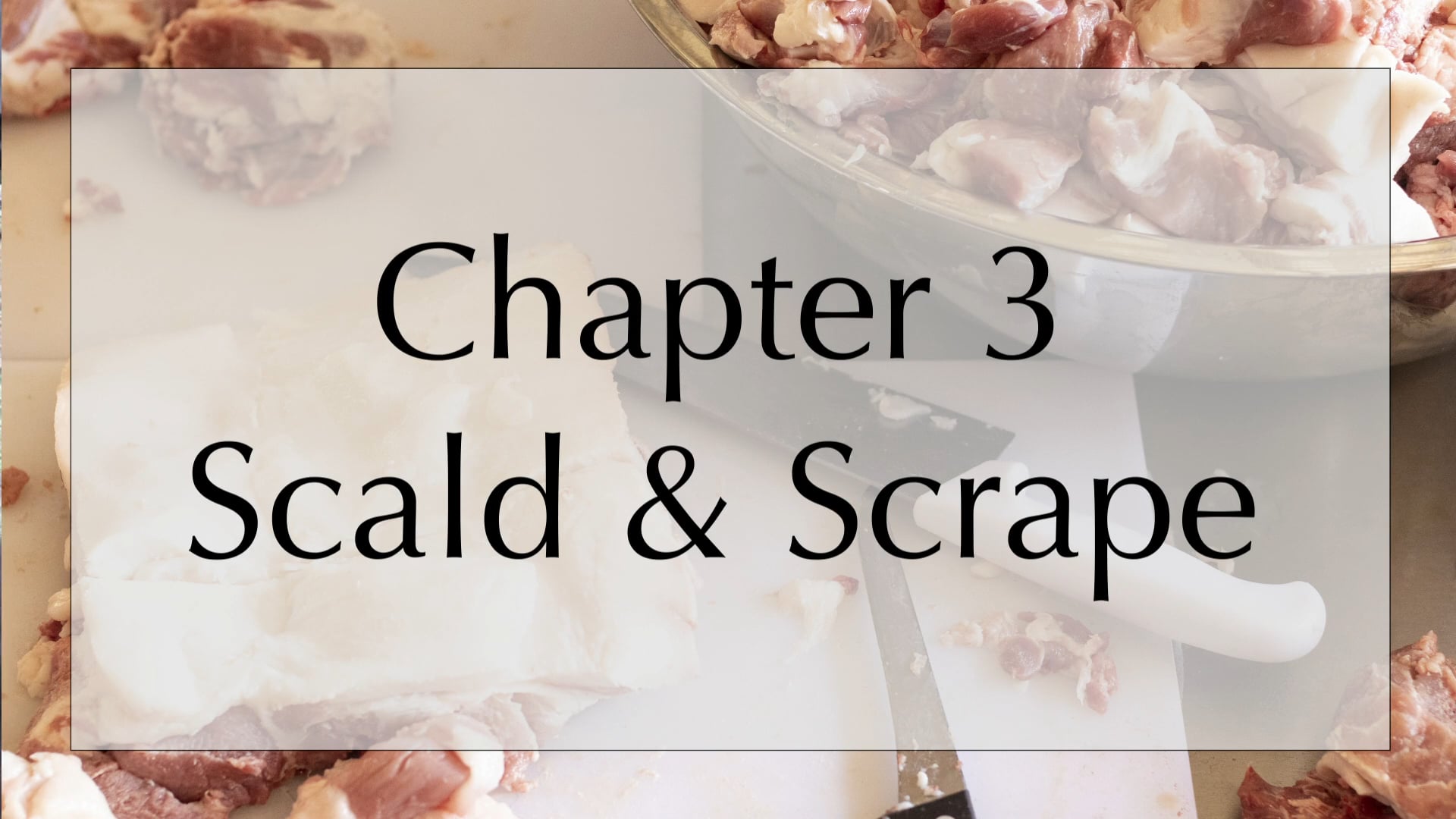 Pig Butchery Masterclass ~ CH 3: Scald + Scrape