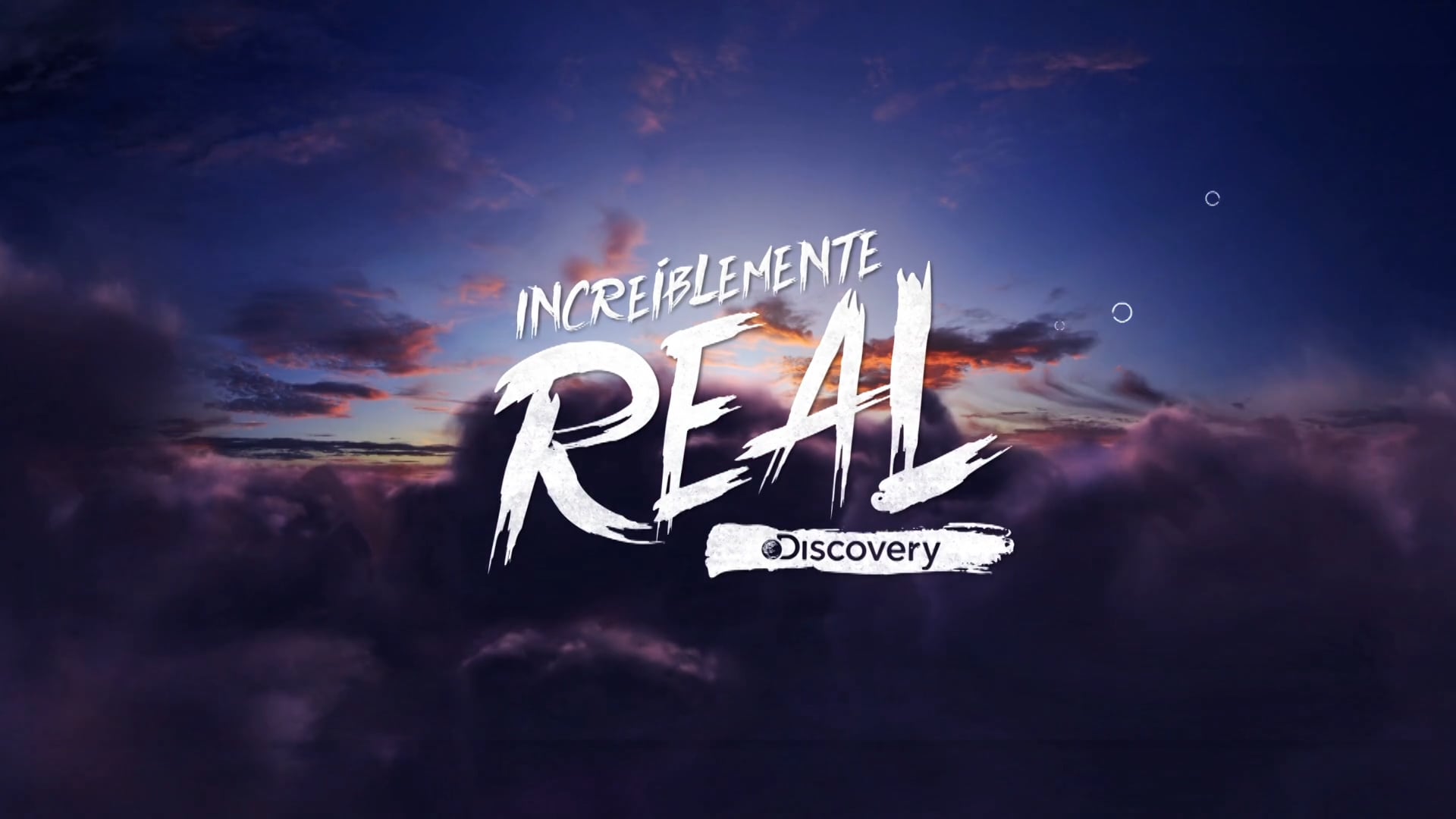 Discovery Channel - Rebrand 2019 on Vimeo