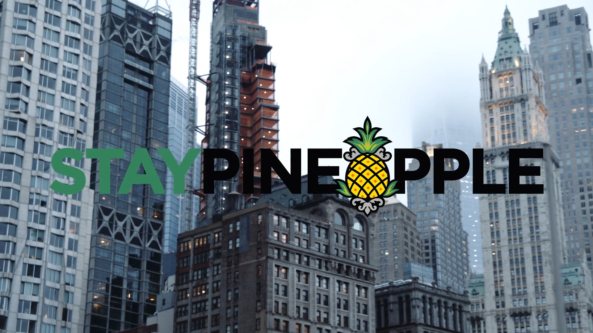 StayPineapple NYC Teaser on Vimeo