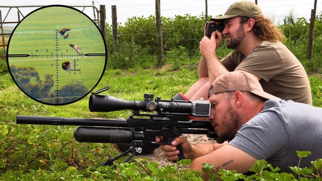 Crazy Long Range Pigeon Hunting! - Airgun101