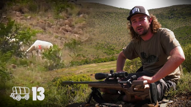 Air Arms Hunting SA - Matt Dubber / Hunting / Reviews / Education - A ...