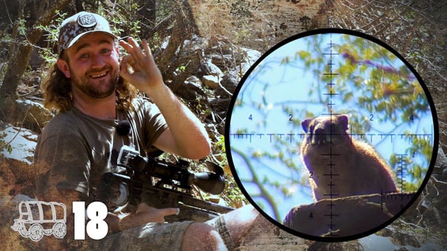 PCP Airgun Hyrax Hunting - The Oxwagon Diaries, pt.18 A Day in Hyrax ...