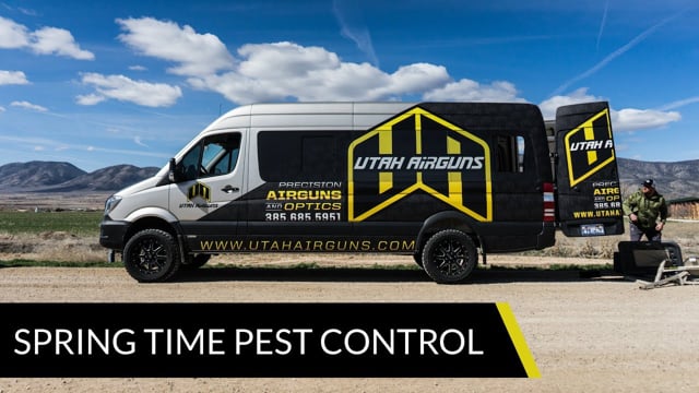 Springtime Pest Control - Airgun Style - Airgun101