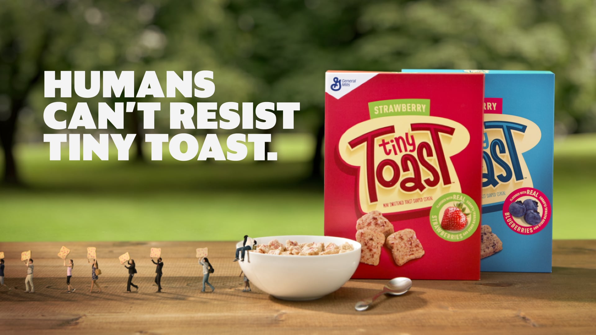 Tiny Toast: Ant on Vimeo