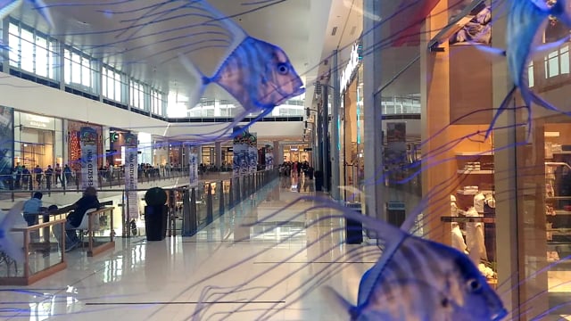 Fish, Blue, Dubai. Free Stock Video - Pixabay
