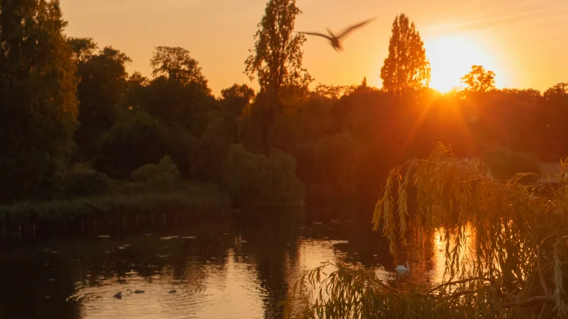 Amazing Sunset in Hyde Park, London, England, UK on Vimeo