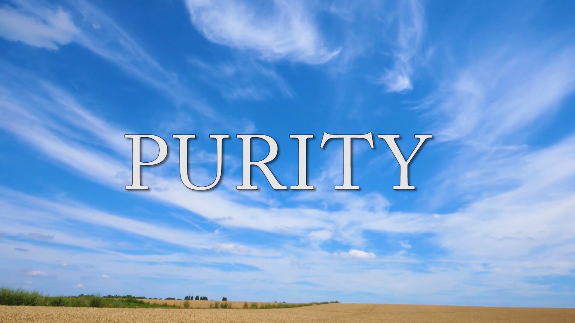 Purity on Vimeo