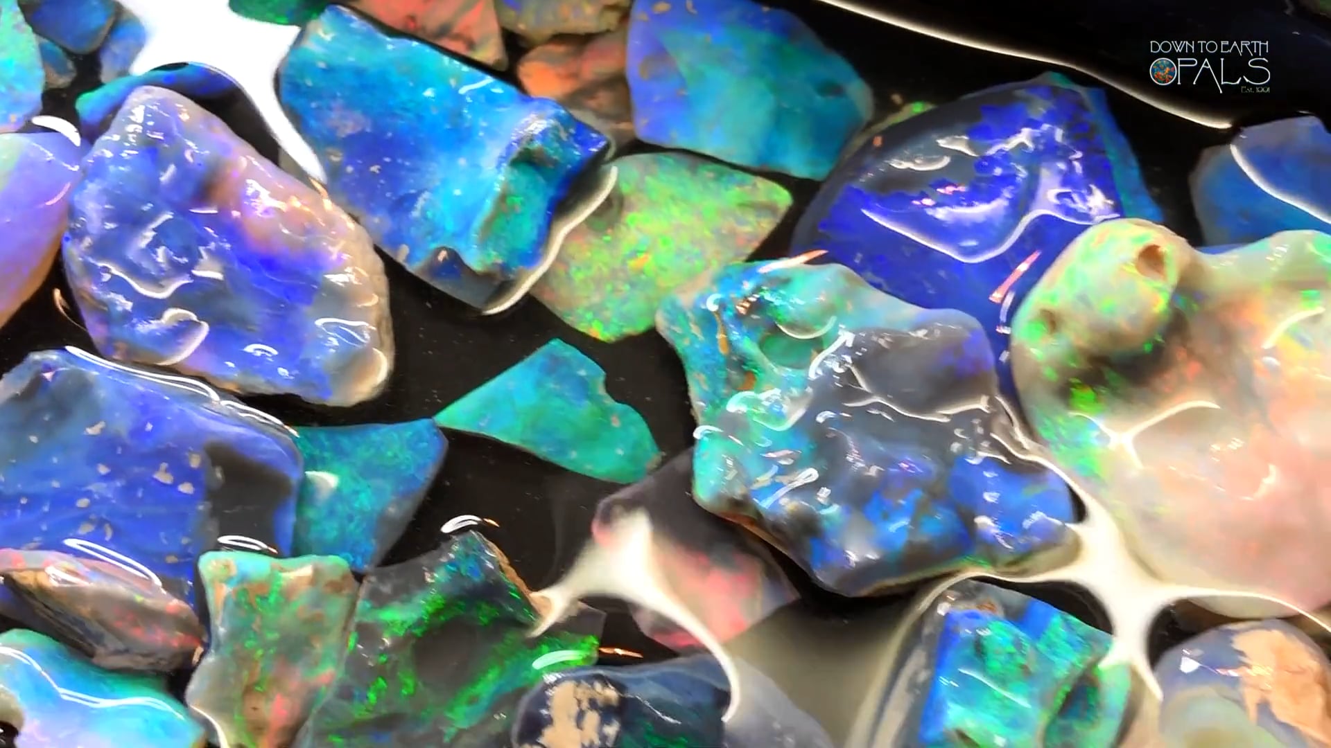 Vicki preparing rubs for Tucson 2019 on Vimeo