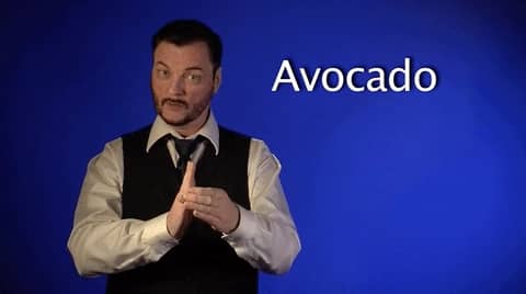 avocado asl on Vimeo