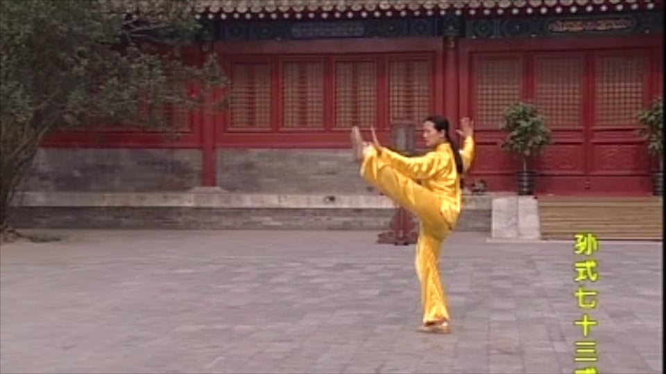 Watch Sun-Style Tai Chi 73 Form Online | Vimeo On Demand on Vimeo
