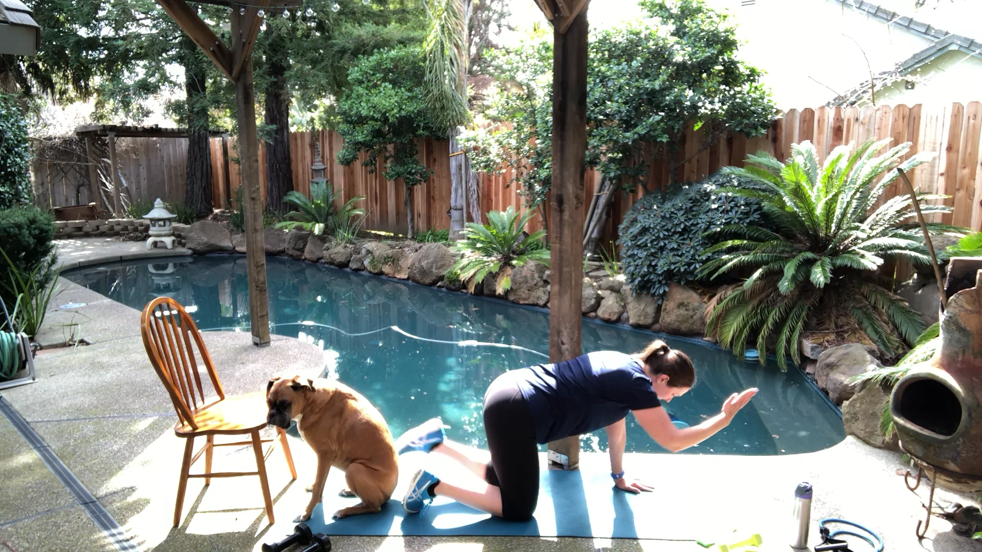 Flying bird dog on Vimeo