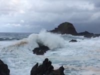 Study Abroad - Class Afloat