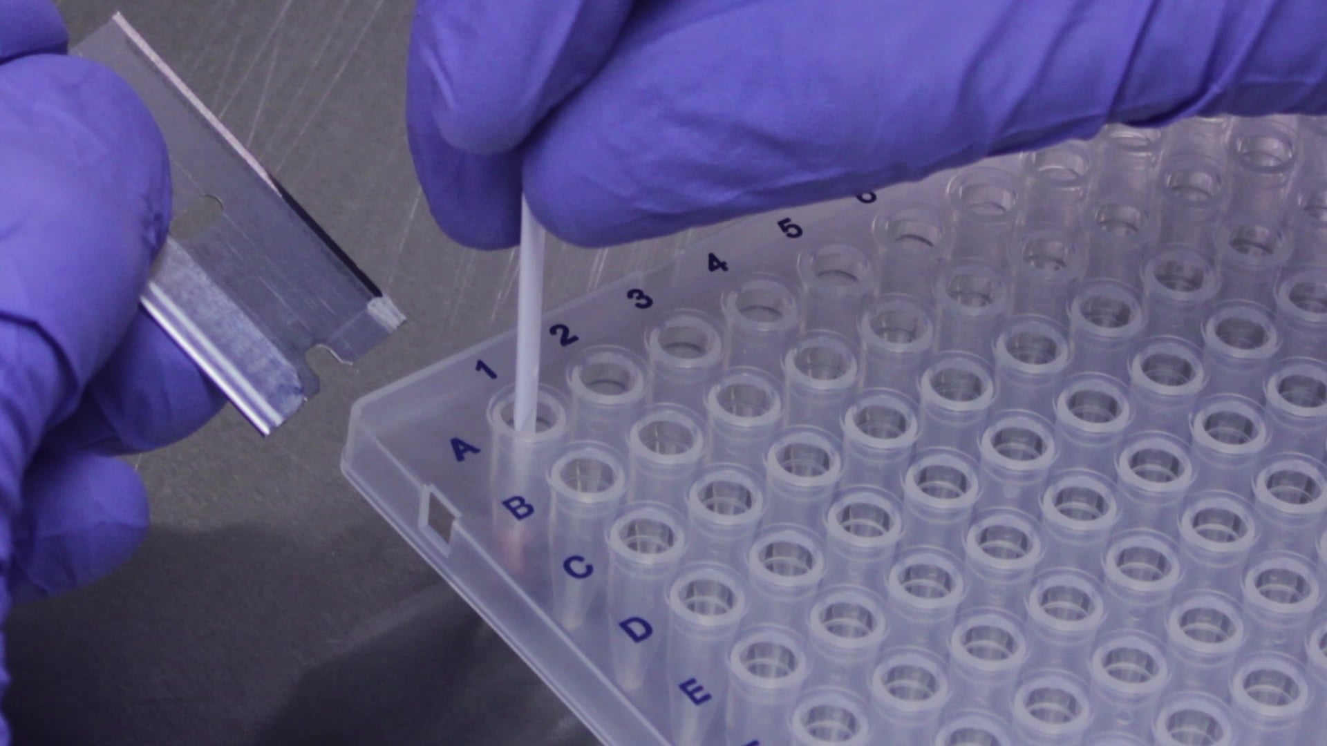 FFPE_Sample_Preparation on Vimeo