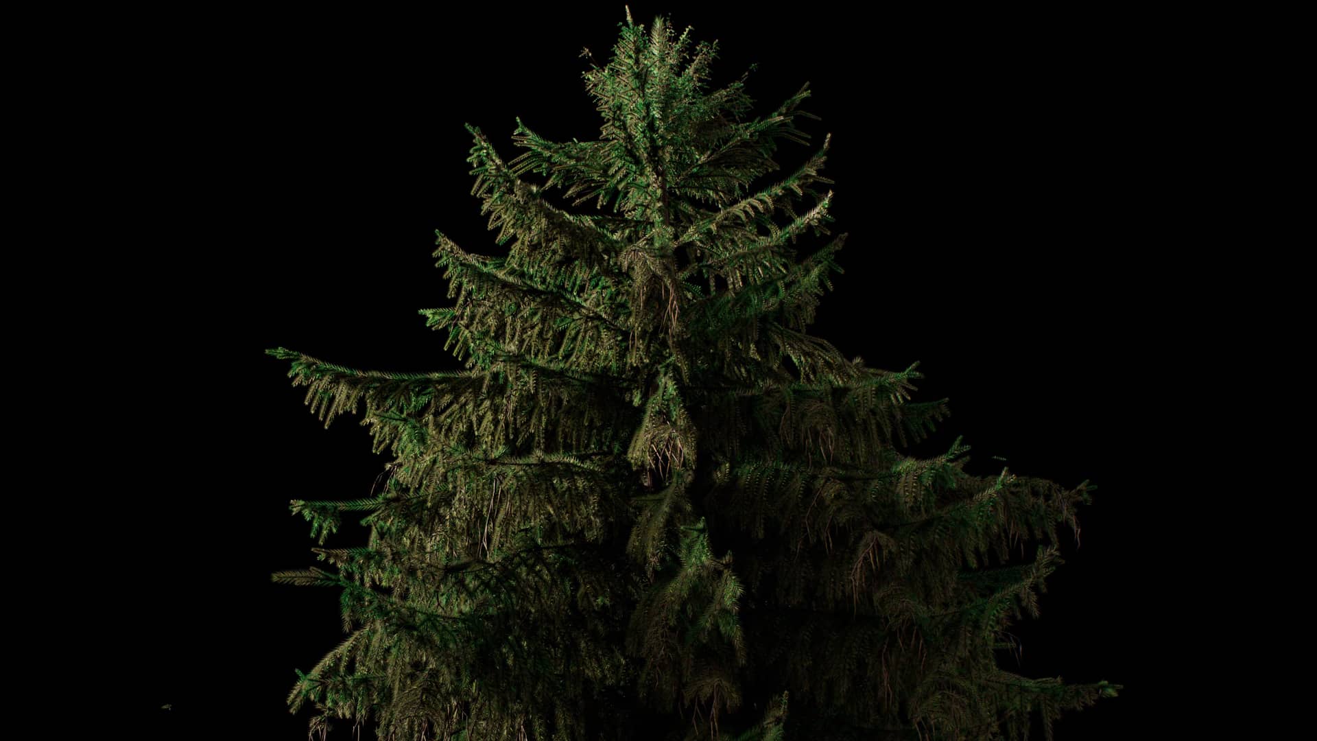 houdini vellum tree simulation rendered on Vimeo