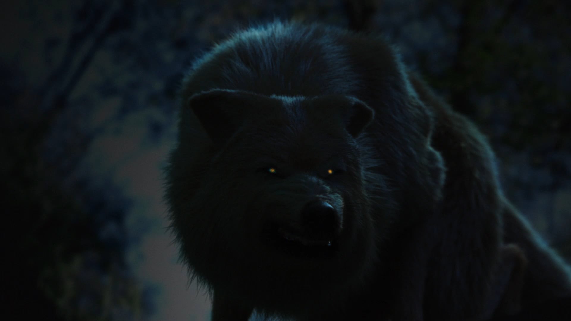Werewolf Test - Night on Vimeo