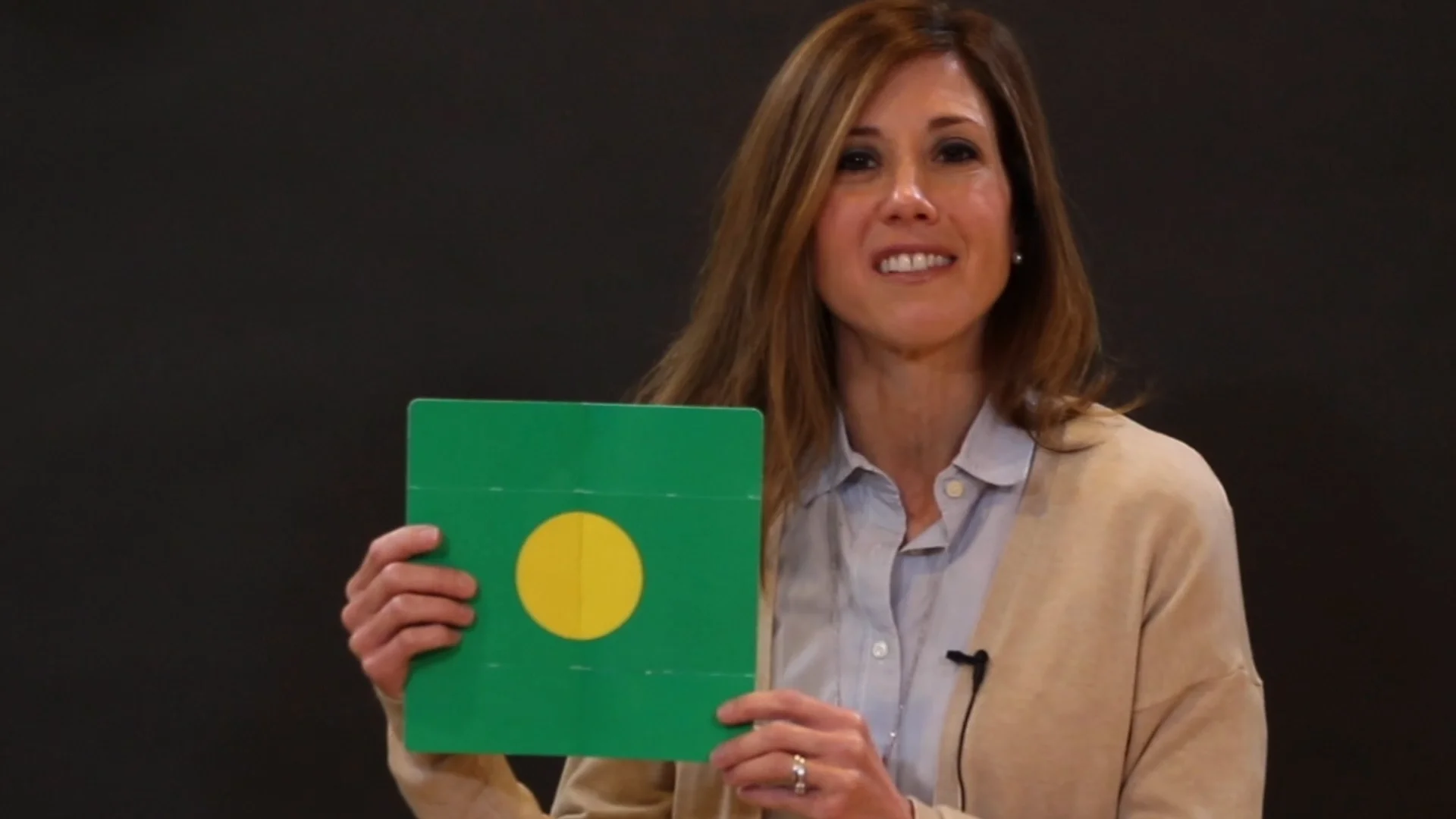 Flipper Flapper Training