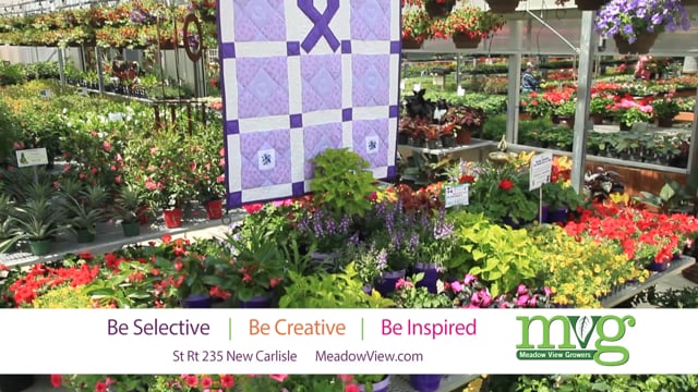 Meadow View Growers on Vimeo