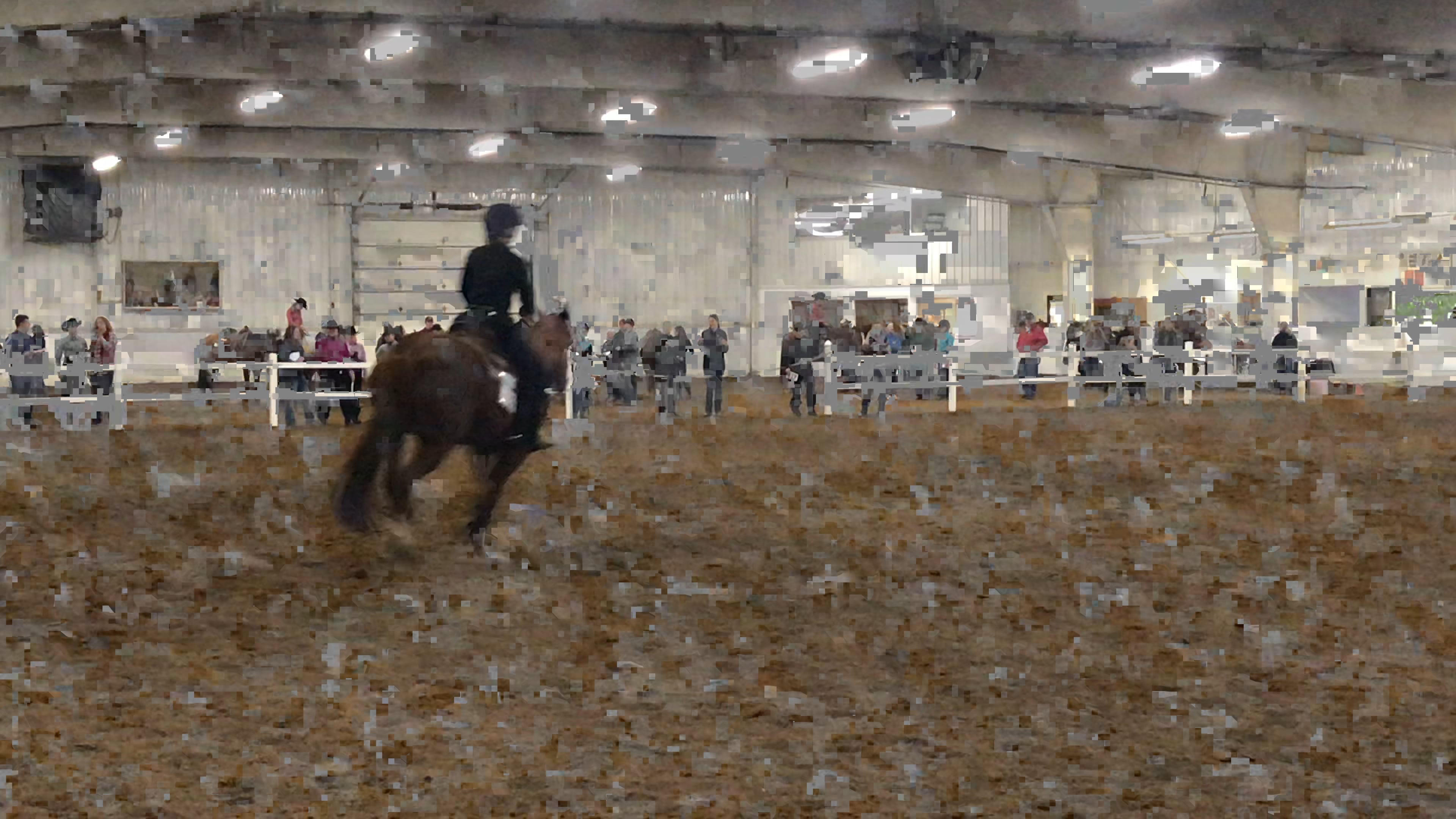 IEA Regionals Reining on Vimeo