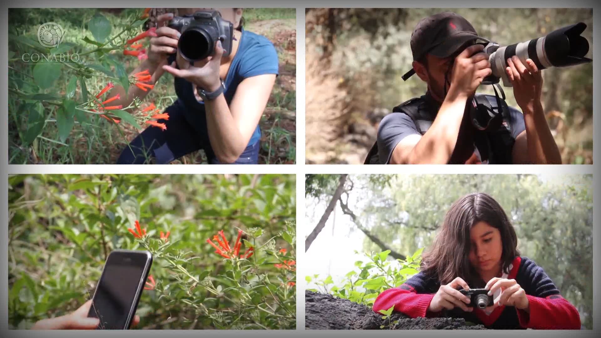 Tutorial Naturalista, Añadir observaciones on Vimeo