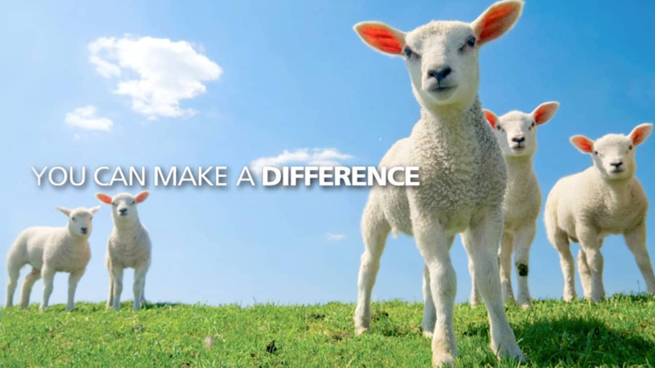 Compassion in World Farming : corporate video on Vimeo
