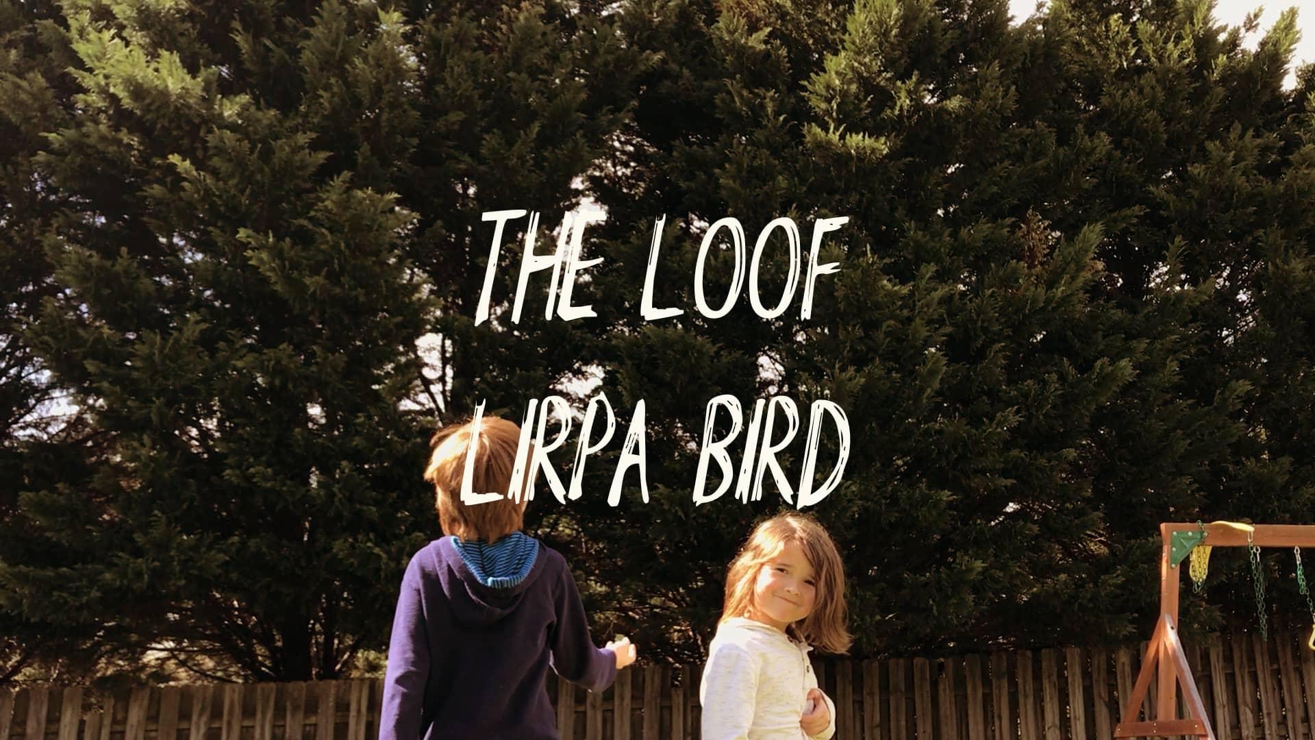 THE LOOF LIRPA BIRD on Vimeo