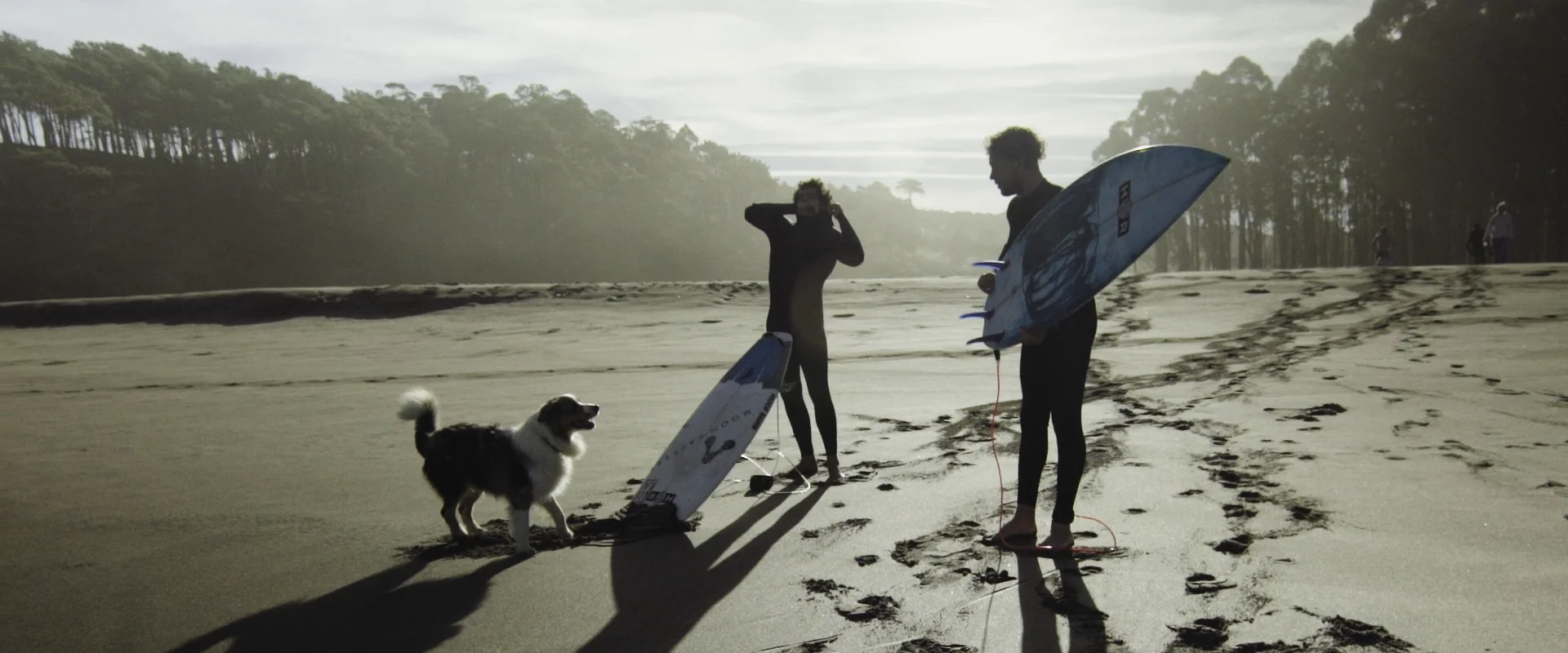 Watch No Wave Back Online | Vimeo On Demand on Vimeo