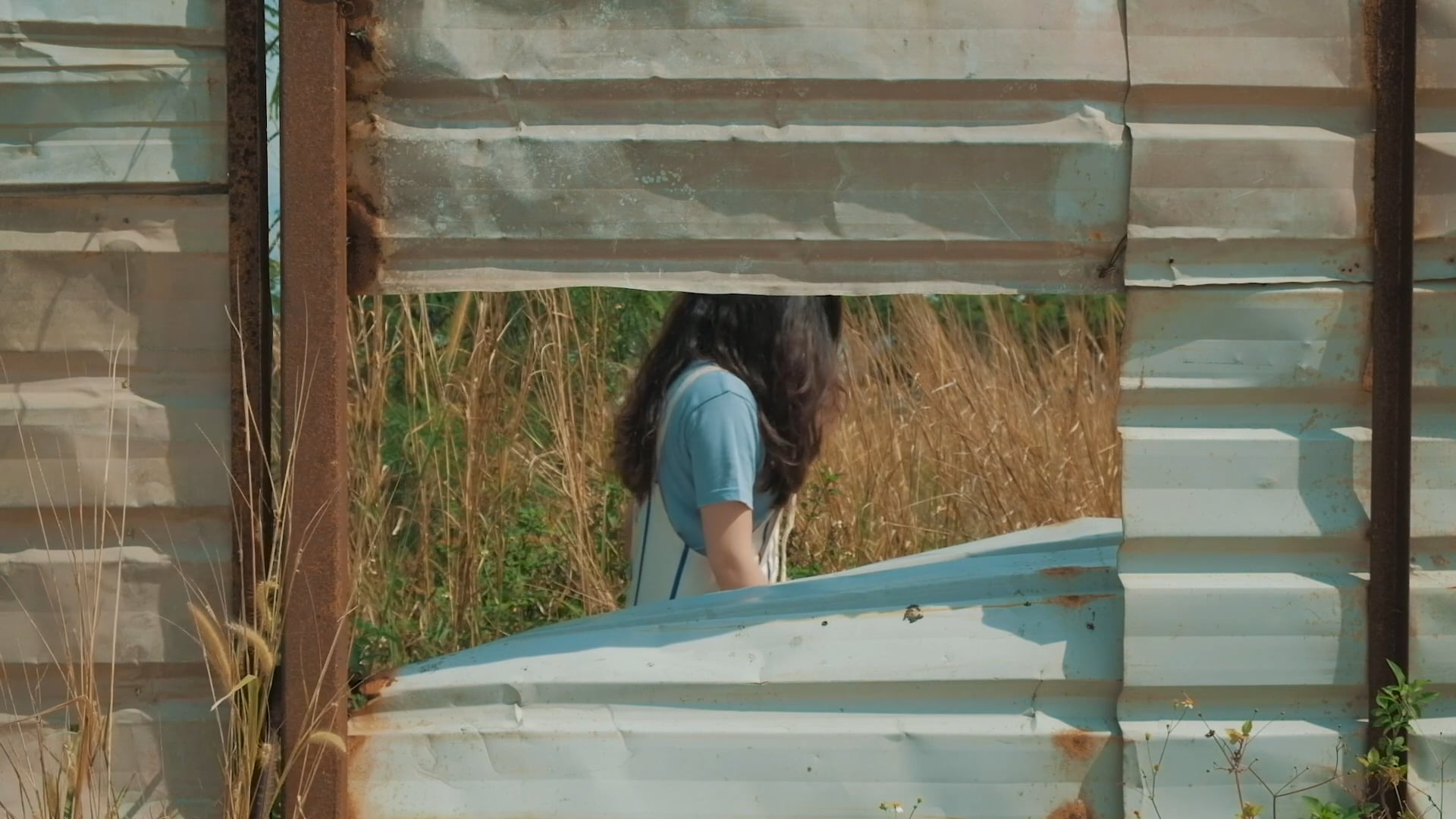 for now we see dimly on Vimeo