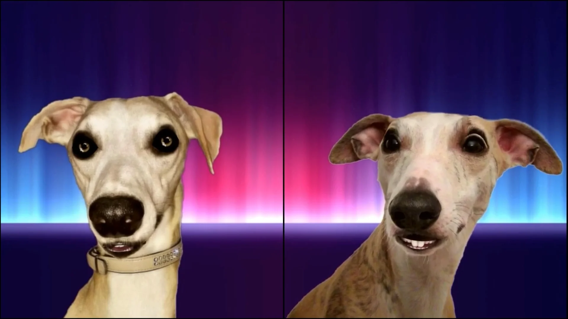 Reggi und Nuri_Turkish March on Vimeo