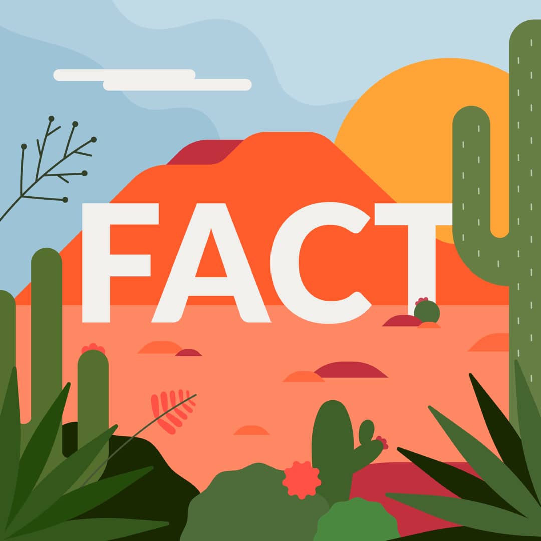 GEICO - Keep on Rollin' on Vimeo