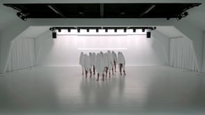 Dave's Faves, Anima Ardens from Cie Thor | Thierry Smits on...