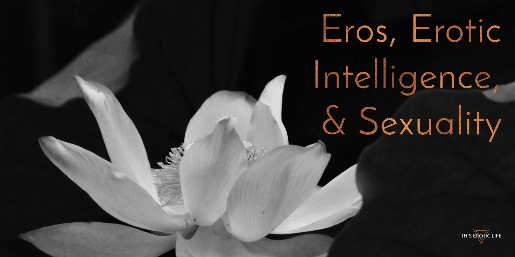 Eros, Erotic Intelligence, and Sexuality on Vimeo