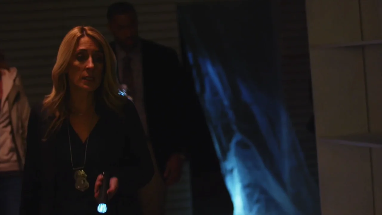 Randi Sloane - 2019 Reel on Vimeo