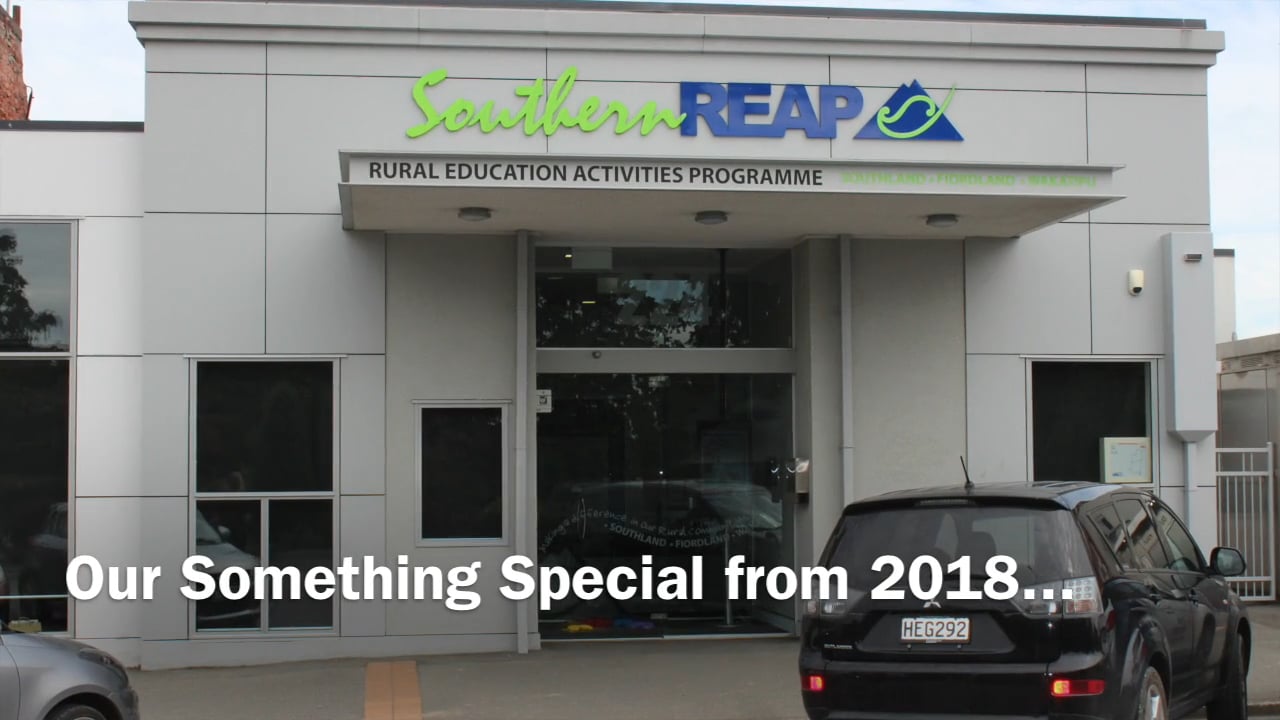Southern REAP on Vimeo