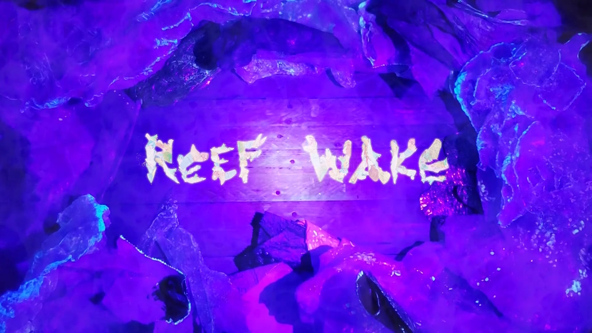 REEF WAKE 2019 on Vimeo