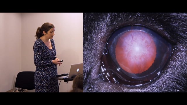 Centralcpd on-demand