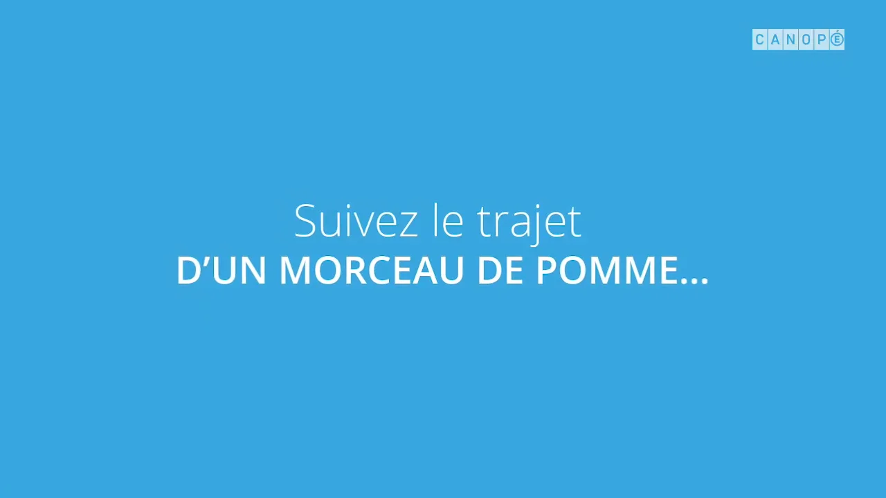 Trailer Corpus 360 on Vimeo