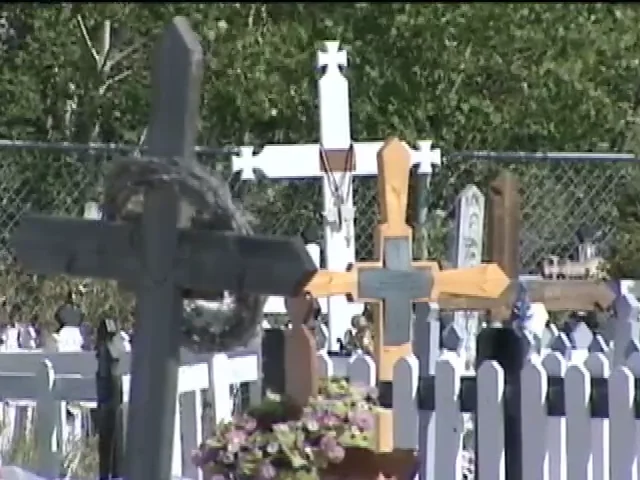 Deformed Fish Athabasca River