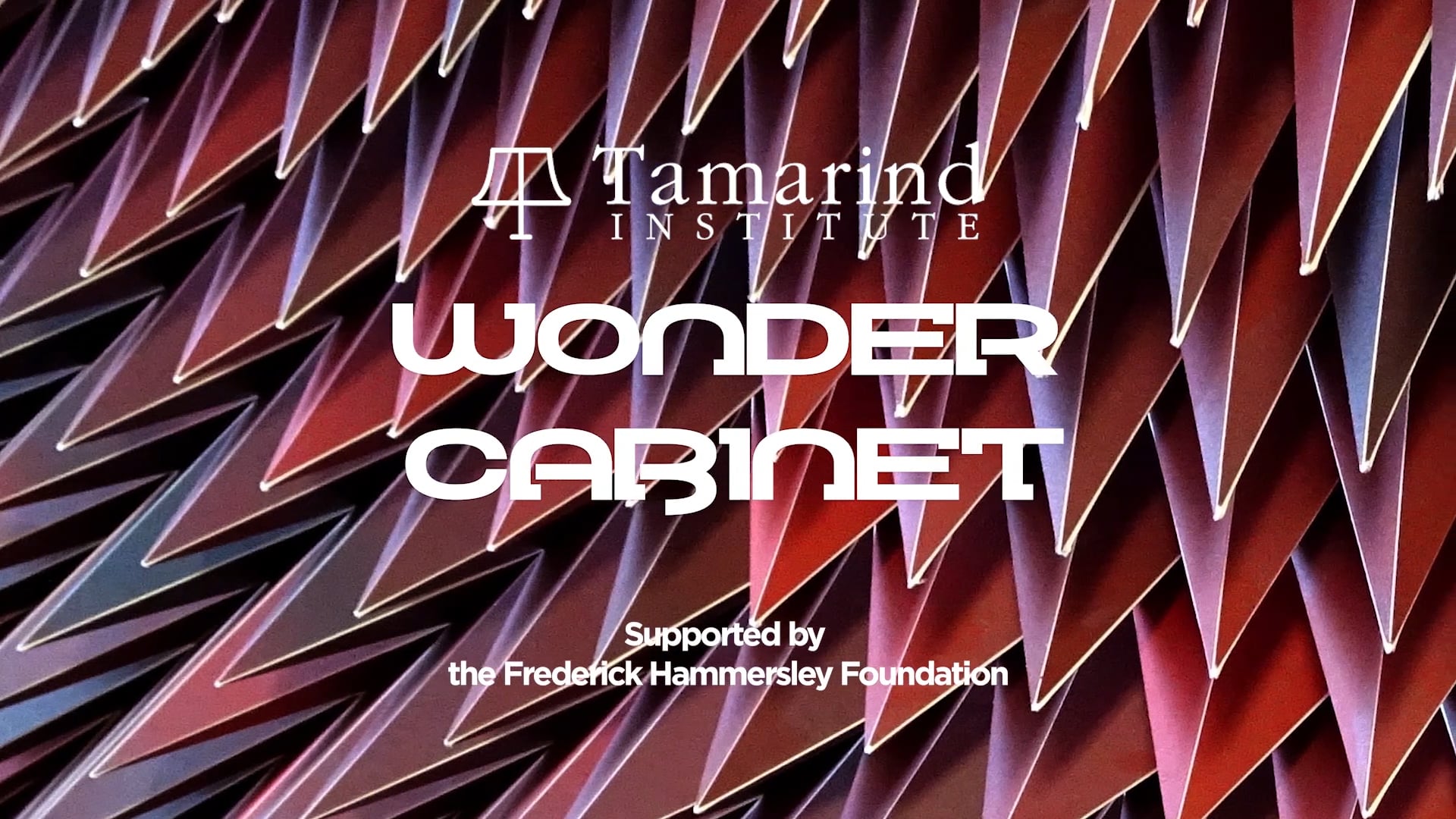 Wonder Cabinet - Wonder Cabinet - Foldings and Other Mathematical and ...