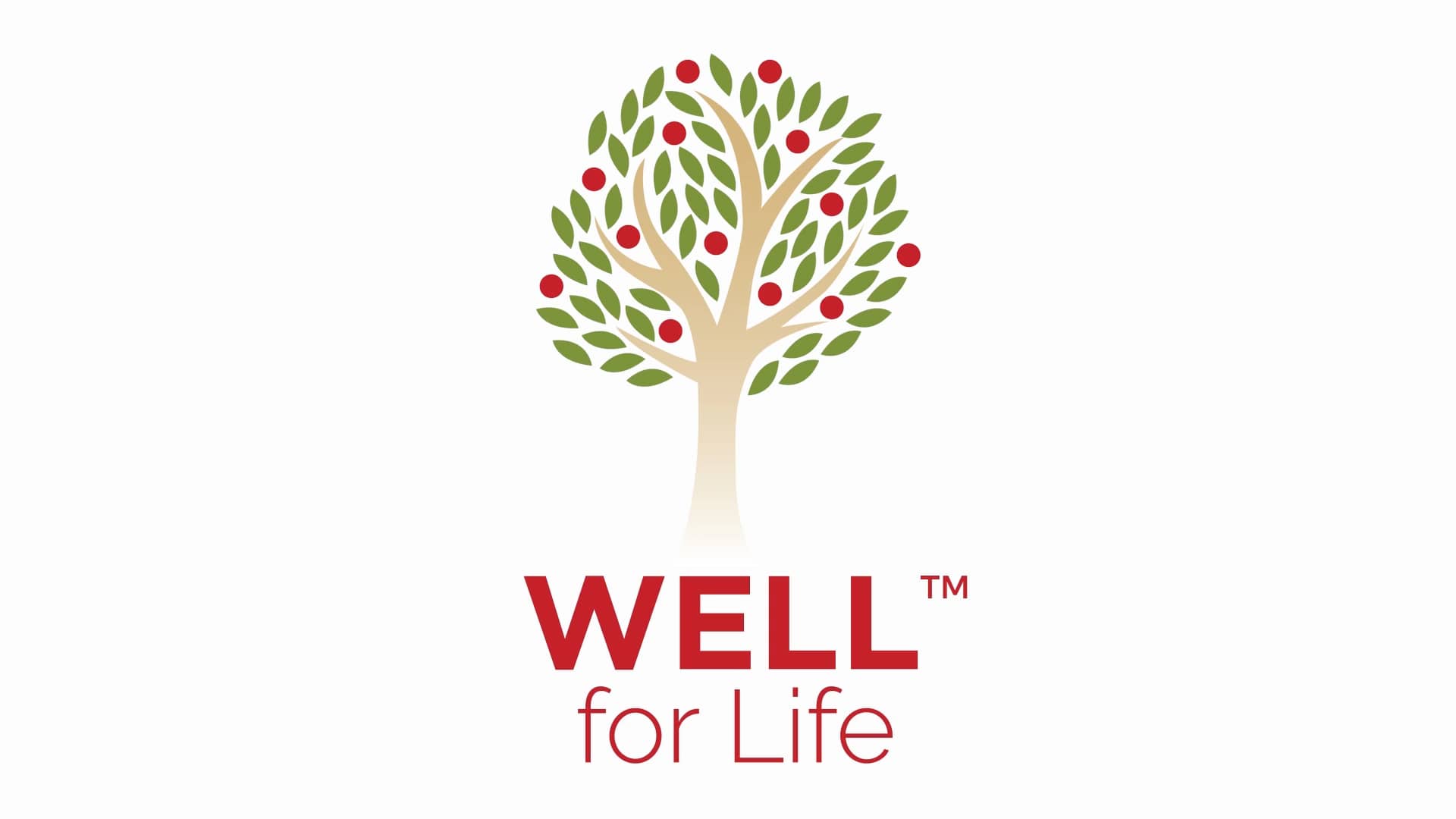 WELL For Life Community Partners on Vimeo