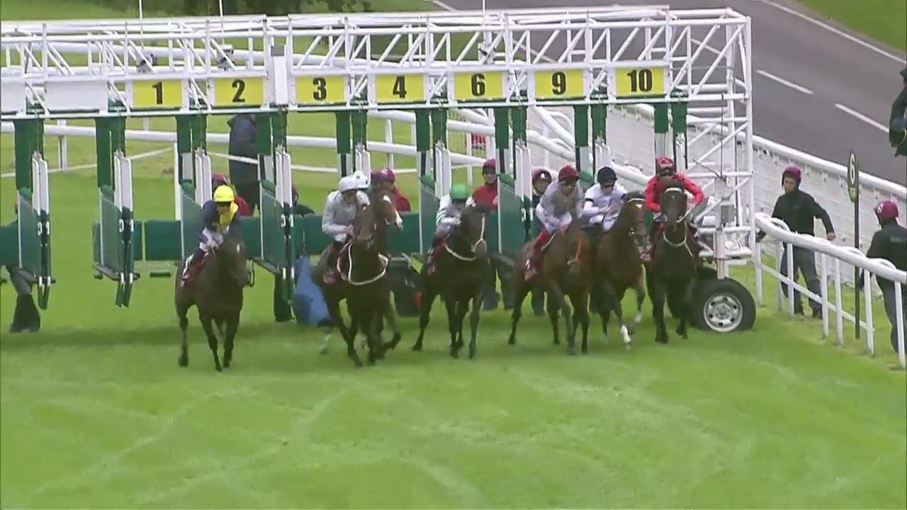 barraquer-sam-sangster-bloodstock on Vimeo