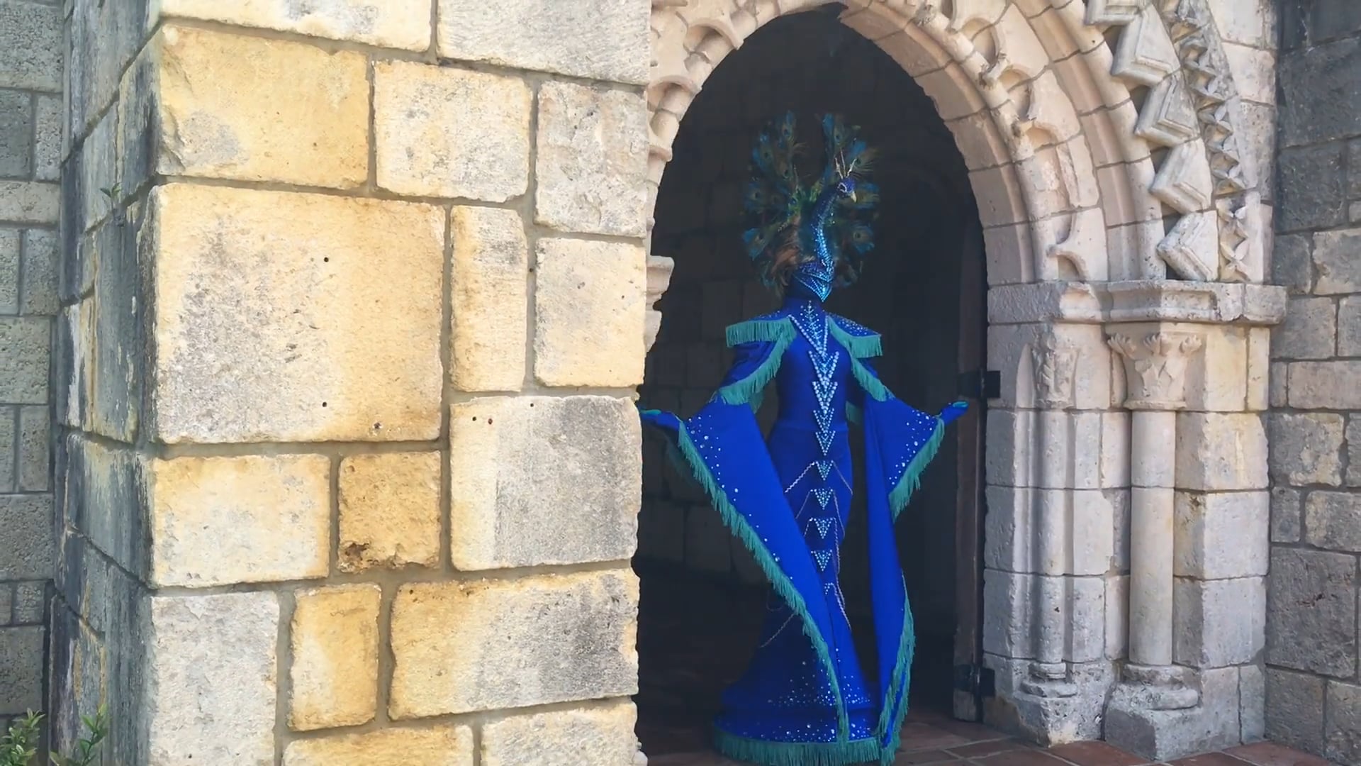 Hire Kikimora Studio - Circus Entertainment in Miami, FL | GigSalad