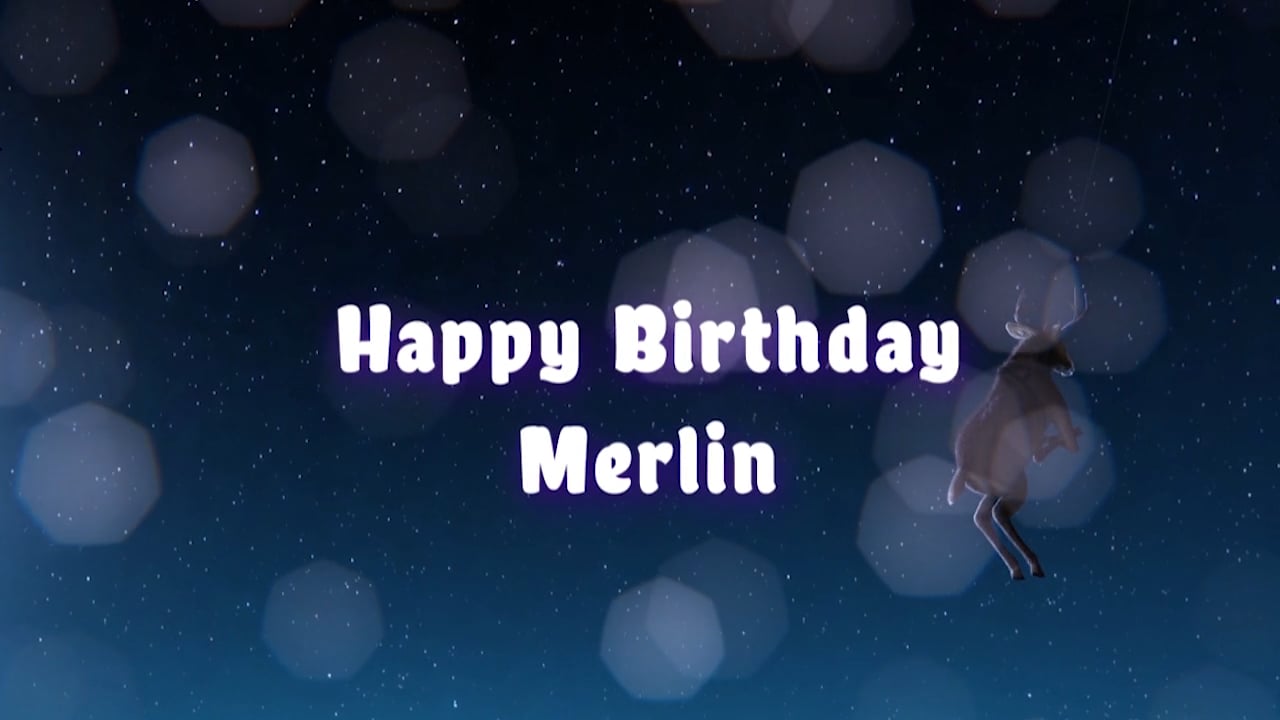 Happy Birthday Merlin on Vimeo