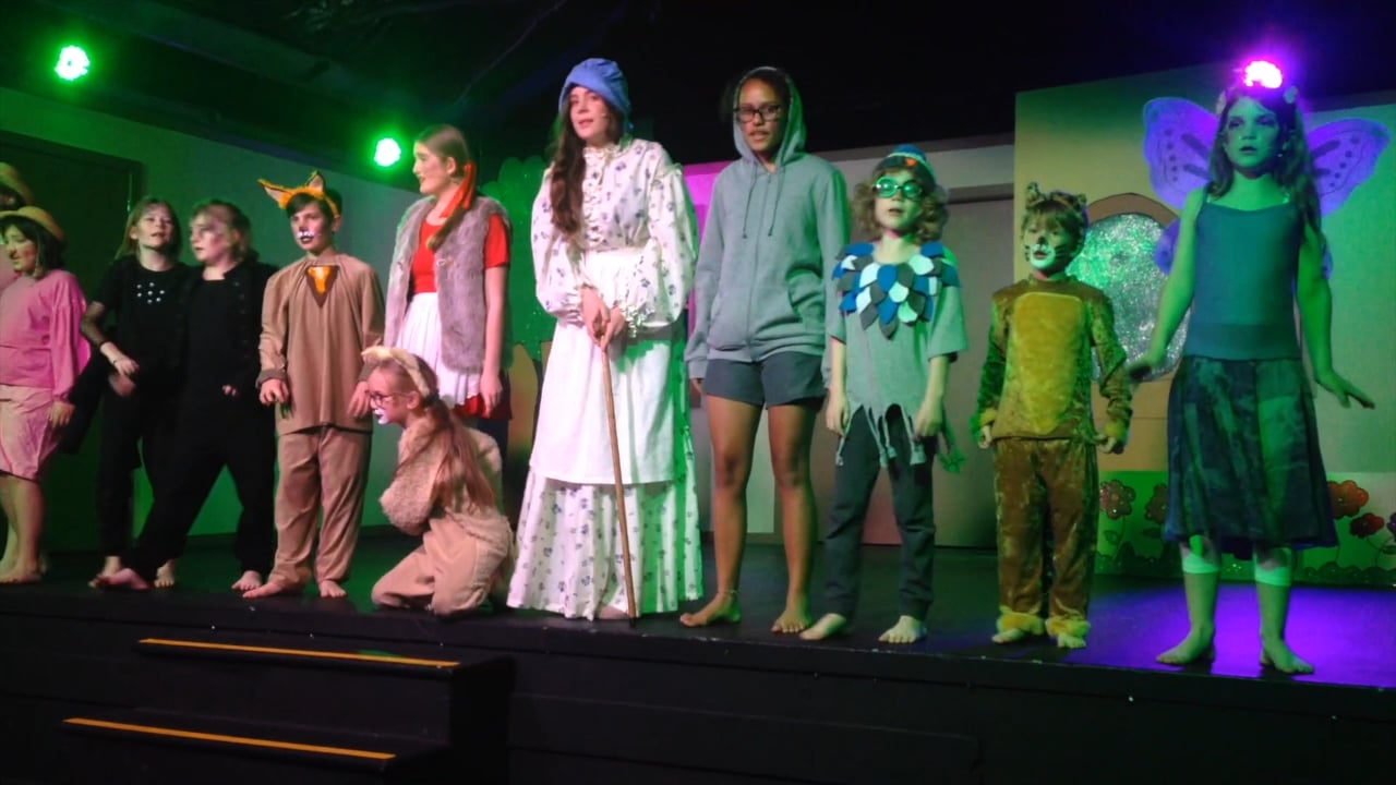 EMILY HINCHEY-goldilocks on Vimeo