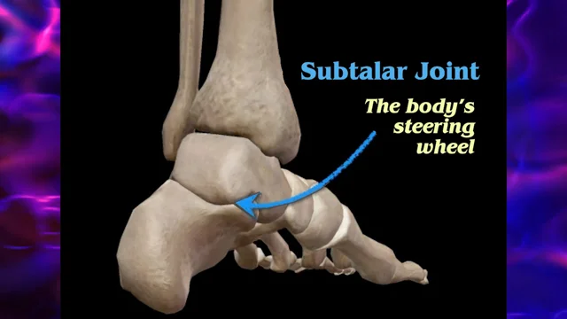 Talocrural Joint Mobilization