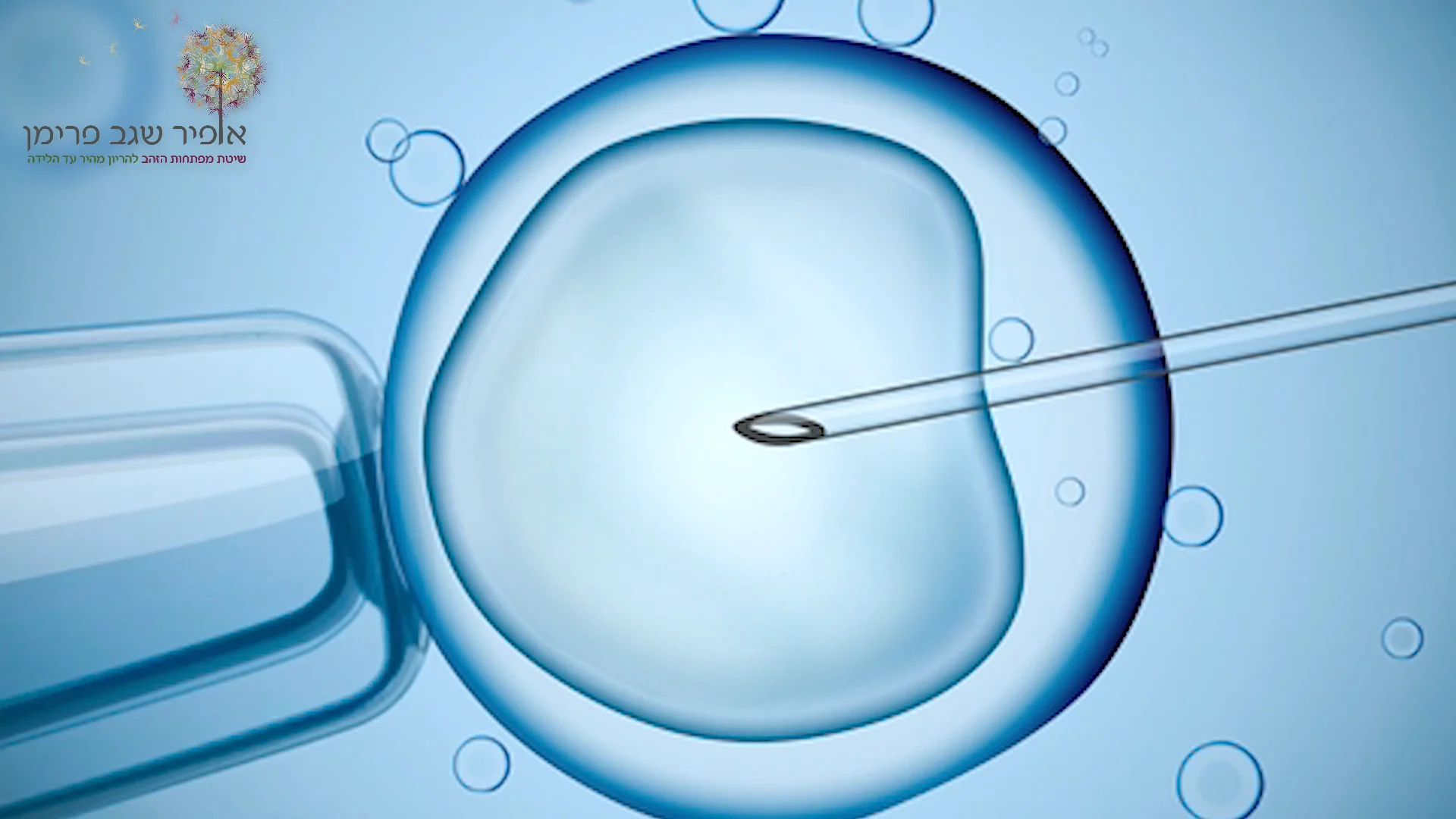 Q10 מידע חשוב על התוסף on Vimeo