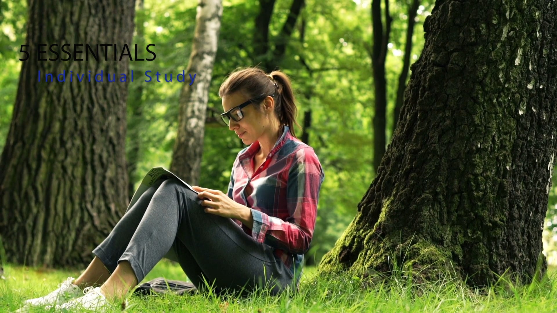 GAB Introduction with Kimm Carr on Vimeo