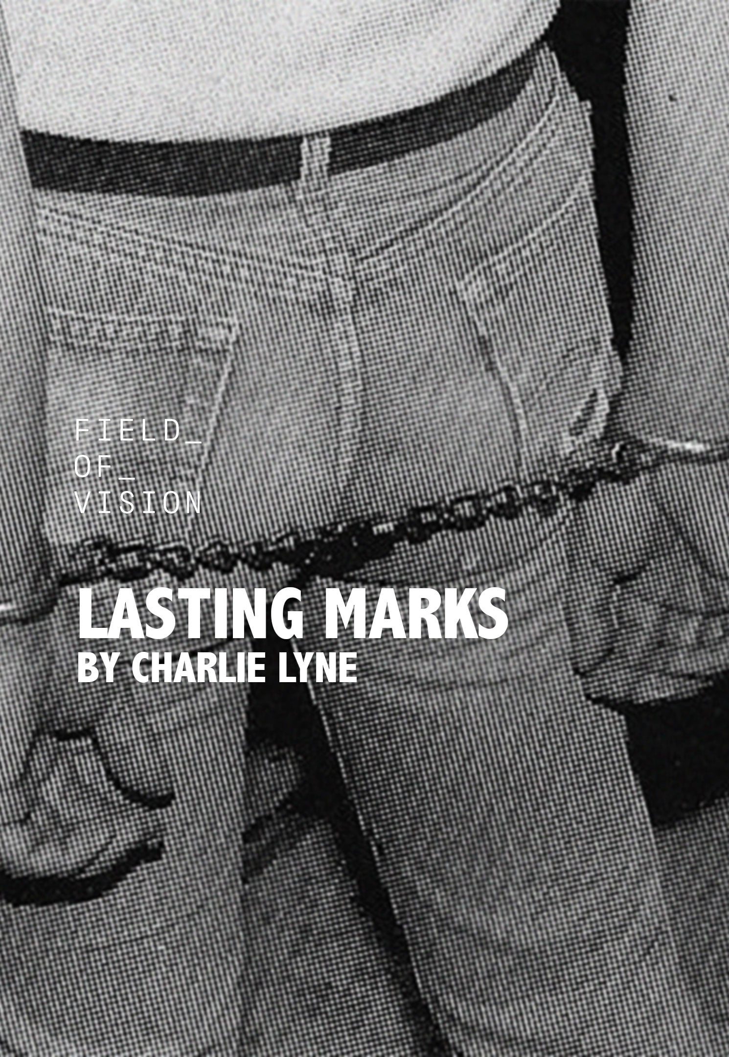 Field of Vision - Lasting Marks